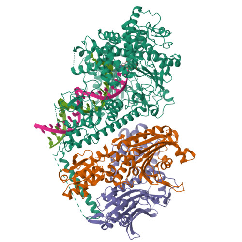 RCSB PDB - 9IBX: Chimeric mitochondrial DNA polymerase gamma ternary ...