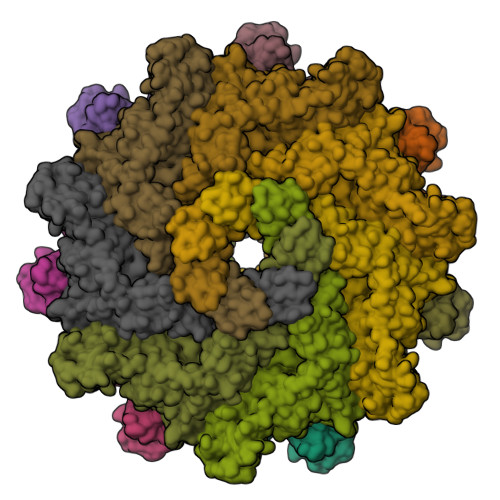 RCSB PDB - 9IGN: Aerolysin E254A/E258A in styrene-maleic acid lipid ...