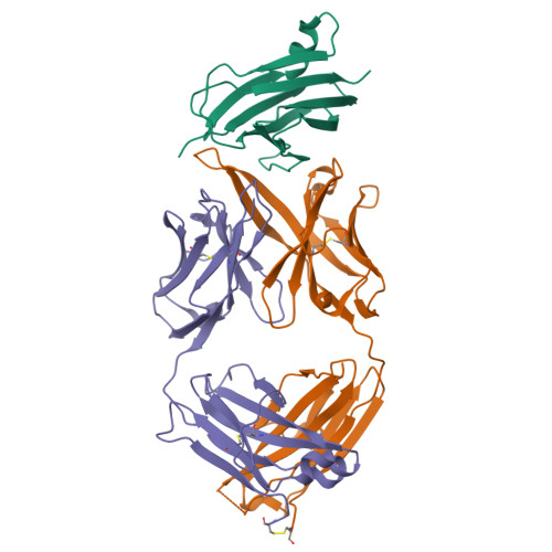 RCSB PDB - 9IHC: CryoEM structure of a synthetic antibody, COP-2, in ...