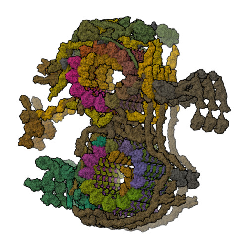 RCSB PDB - 9IJJ: In situ structure of the central apparatus in mouse ...