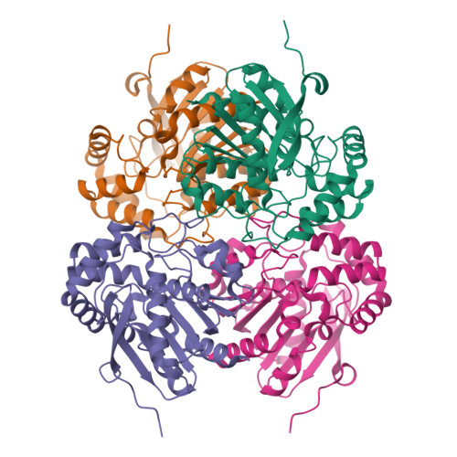 RCSB PDB - 9IJK: The CryoEM structure of a C-C bond hydrolase MhpC ...