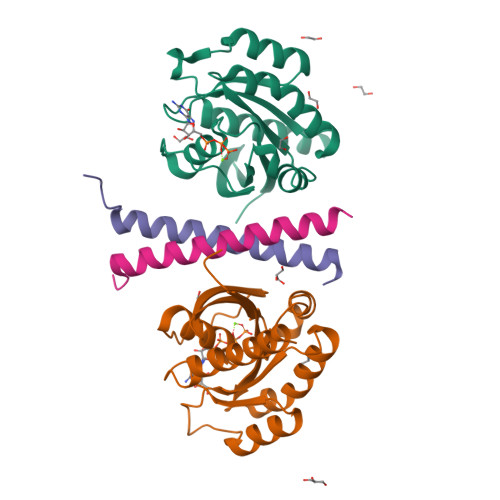 RCSB PDB - 9IKQ: Crystal structure of OPTN LZD in complex with GTP ...