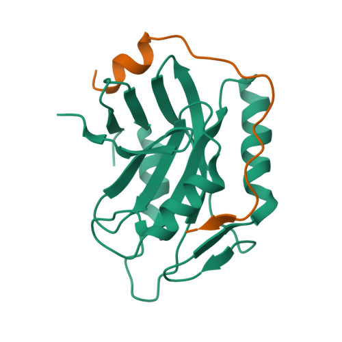 RCSB PDB - 9ILD: Complex structure of Cap3 and CD-NTase