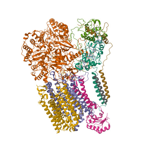 RCSB PDB - 9ILT: Crystal structure of alternative complex III from ...