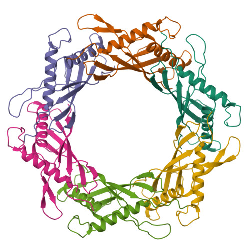 RCSB PDB - 9ILV: Structure of the bacteriophage T5 connector complex