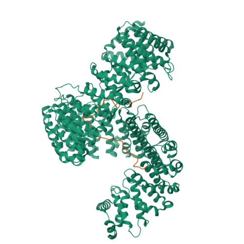 RCSB PDB - 9IM6: Structure of influenza A virus RNA polymerase PB1 and ...