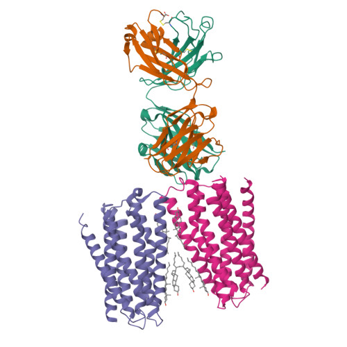 RCSB PDB - 9IMA: Cryo-EM structure for the GPRC5D complexed with ...