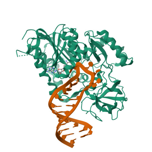 RCSB PDB - 9IMB: The crystal structure of human m5C methyltransferase ...