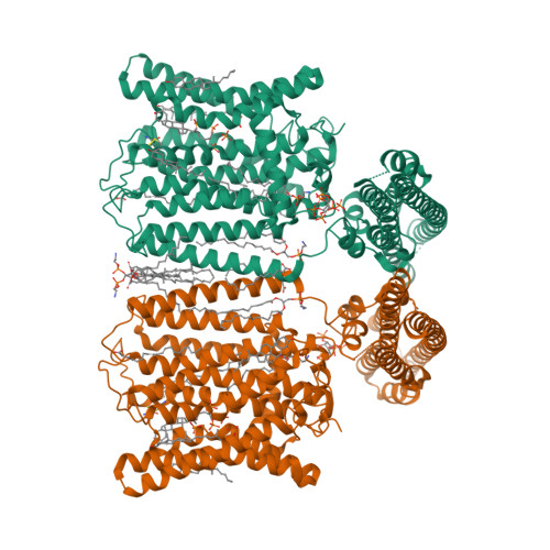 RCSB PDB - 9INH: Cryo-EM structure of human XPR1 in complex with InsP6 ...
