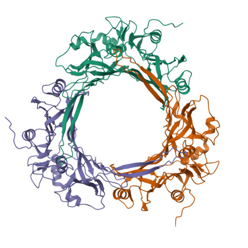 RCSB PDB - 9INY: Structure of bacteriophage T5 tail tube