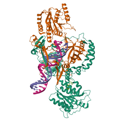 RCSB PDB - 9IOL: Cryo-EM structure of the complex of DNA, Ku70/80, and ...