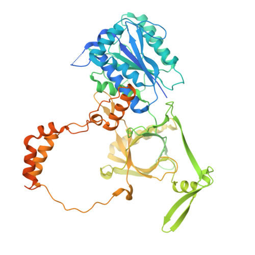 RCSB PDB - 9IOL: Cryo-EM structure of the complex of DNA, Ku70/80, and ...