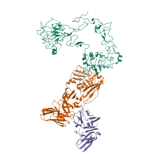 RCSB PDB - 9IPA: Poly-alanine model for HL-type bispecific diabody Ex3 ...