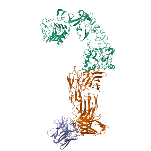 RCSB PDB - 9IPE: Poly-alanine model for LH-type bispecific diabody Ex3 ...