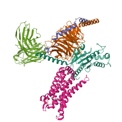 RCSB PDB - 9IPV: Structure of JR14a-C3aR-Gi-scFv16 complex
