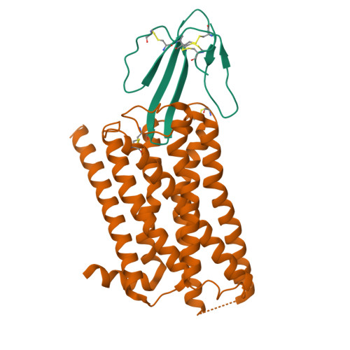 RCSB PDB - 9IQS: Cryo-EM structure of MT3-Muscarinic acetylcholine ...