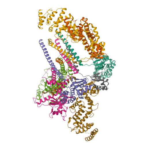 RCSB PDB - 9IS6: CryoEM structure of Plant-Complex-C-5b