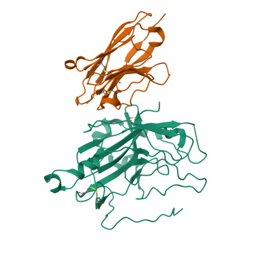 RCSB PDB - 9ISF: Crystal structure of nanobody 14 in complex with HSV-2 gD