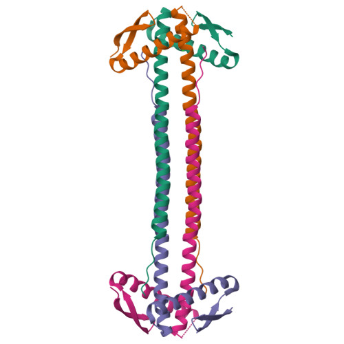 RCSB PDB - 9ISJ: Crystal structure of Klebsiella pneumoniae ZapA