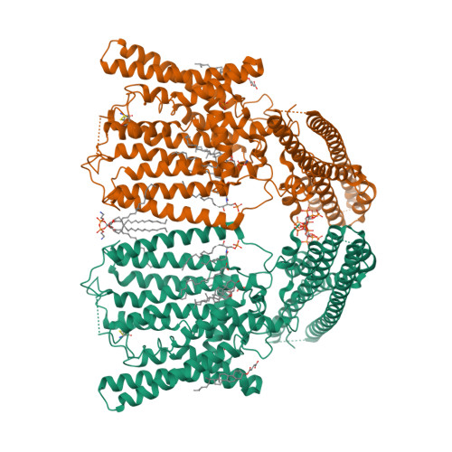 RCSB PDB - 9ITG: Cryo-EM structure of human XPR1-E622A/F623A mutant in ...
