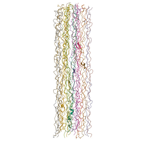 RCSB PDB - 9IUS: Structure of a hierarchical intermediate region ...