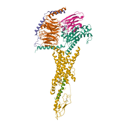 RCSB PDB - 9IVM: Cryo-EM structure of the GLP-1(9-36)-bound human GLP ...