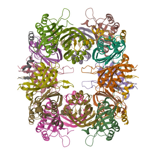 RCSB PDB - 9IVR: Cryo-EM structure of the CHIKV nsP3 peptide in complex ...