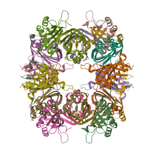RCSB PDB - 9IVS: Cryo-EM structure of the CHIKV nsP3 peptide in complex ...