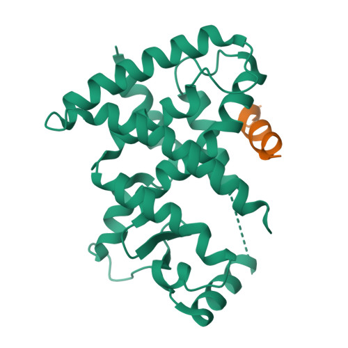 RCSB PDB - 9IWJ: X-ray structure of human PPARalpha ligand binding ...
