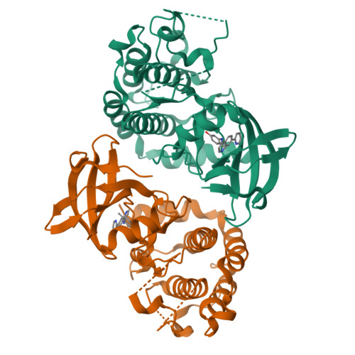 RCSB PDB - 9IX0: Crystal structure of the mouse RIP3 kinase domain in ...