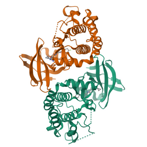 RCSB PDB - 9IX3: Crystal structure of the mouse RIP3 kinase domain in ...
