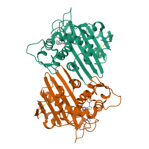 RCSB PDB - 9IXR: Crystal structure of OXA-10 variant A124T in the ...