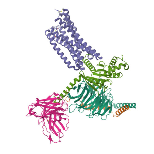 RCSB PDB - 9IY8: Cryo-EM structure of apo-GPR55-G13 complex