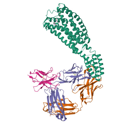 RCSB PDB - 9IYA: Cryo-EM structure of GPR55-Fab-Nb-ONO-9710531 complex