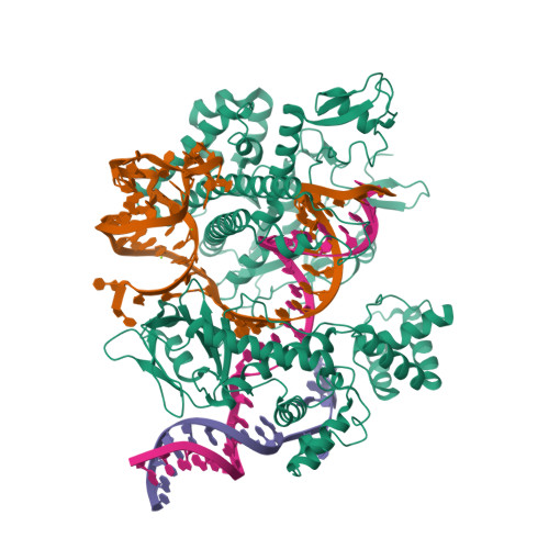 RCSB PDB - 9IZQ: Cryo-EM structure of CasLambda2-crRNA-target DNA ...