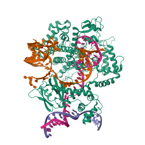 RCSB PDB - 9IZS: Cryo-EM structure of CasLambda2-crRNA-target DNA ...