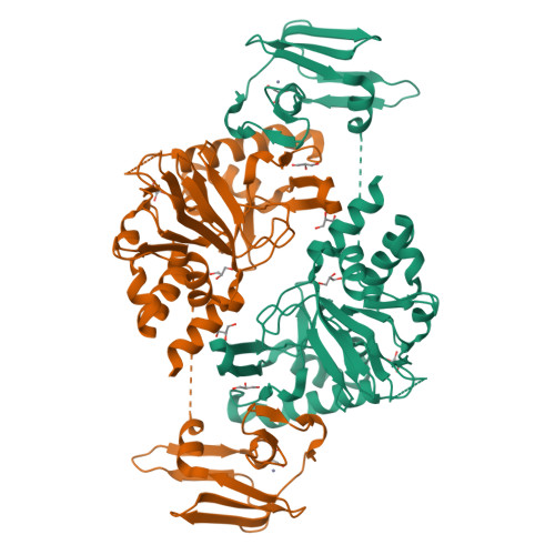 RCSB PDB - 9J0J: The crystal structure of Fe/2OG-dependent oxygenase DfmD