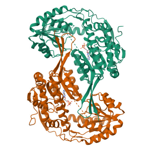RCSB PDB - 9J0S: CRYSTAL STRUCTURE OF A NOVEL ALDEHYDE DEHYDROGENASE ...