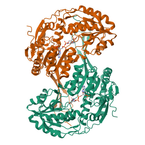 RCSB PDB - 9J0W: CRYSTAL STRUCTURE OF A NOVEL ALDEHYDE DEHYDROGENASE ...