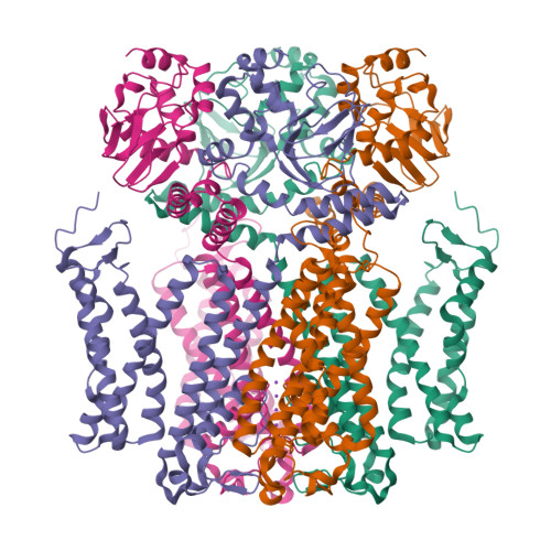 RCSB PDB - 9J10: Cryo-EM Structure of the Guard Cell Potassium Channel ...