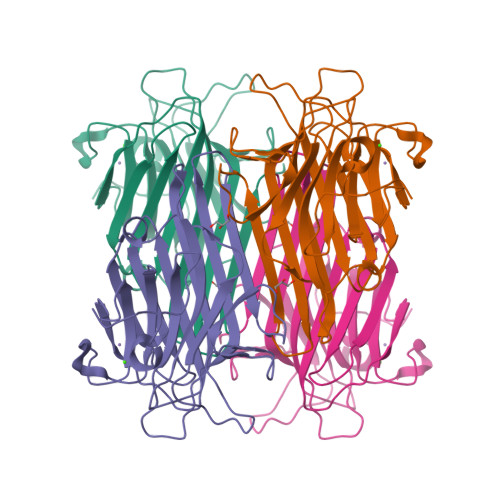 RCSB PDB - 9J1A: Structure of ConA without ligand
