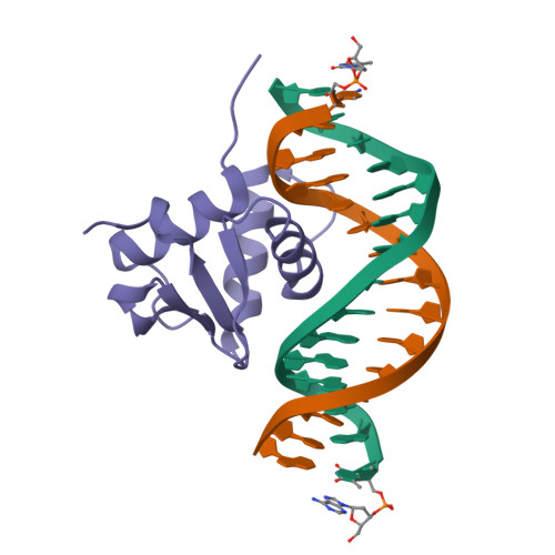 RCSB PDB - 9J1N: Mouse Spi-B Ets domain in complex with DNA containing ...