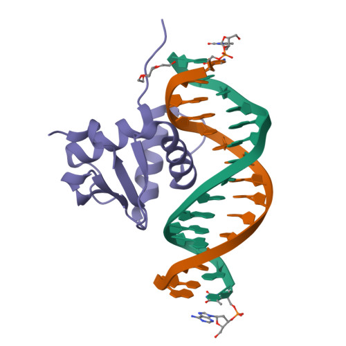 RCSB PDB - 9J1O: Mouse Spi-B Ets domain in complex with DNA containing ...