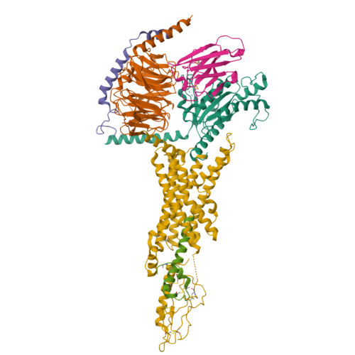 RCSB PDB - 9J1P: Cryo-EM structure of the g1:Ox-bound human GLP-1R-Gs ...