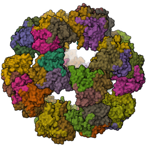 RCSB PDB - 9J1W: Endogenous dihydrolipoamide acetyltransferase (E2 ...
