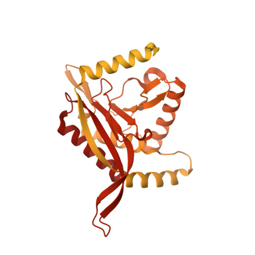 RCSB PDB - 9J1W: Endogenous dihydrolipoamide acetyltransferase (E2 ...