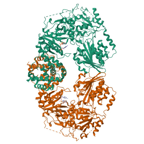 RCSB PDB - 9J3C: Cryo-EM structure of NAT10 with Co-enzyme A