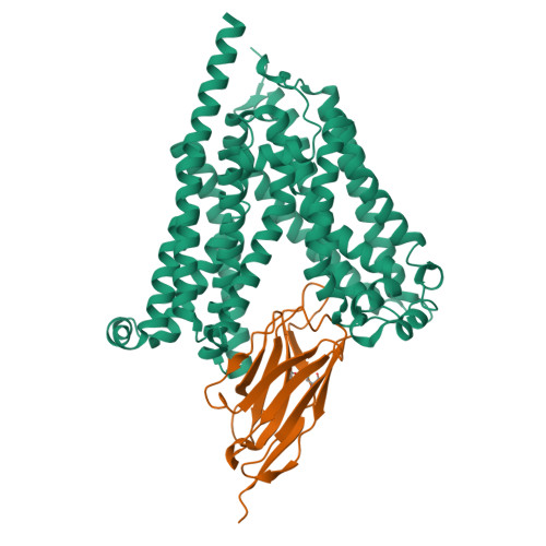 RCSB PDB - 9J3J: Arabidopsis ATP/ADP translocator AtNTT1
