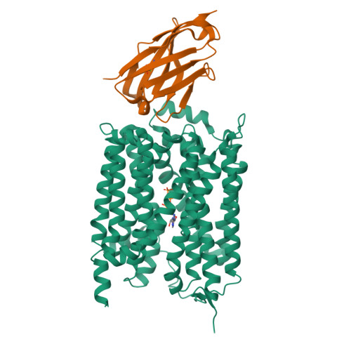 RCSB PDB - 9J3L: ATP bound Arabidopsis ATP/ADP translocator AtNTT1