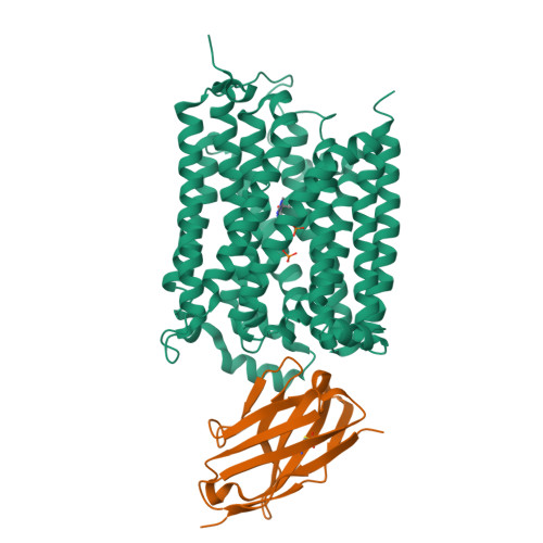 RCSB PDB - 9J3M: ADP/Pi bound Arabidopsis ATP/ADP translocator AtNTT1